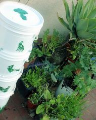 Compostera de 3 Baldes (para 1-2 personas) - Compostate Bien